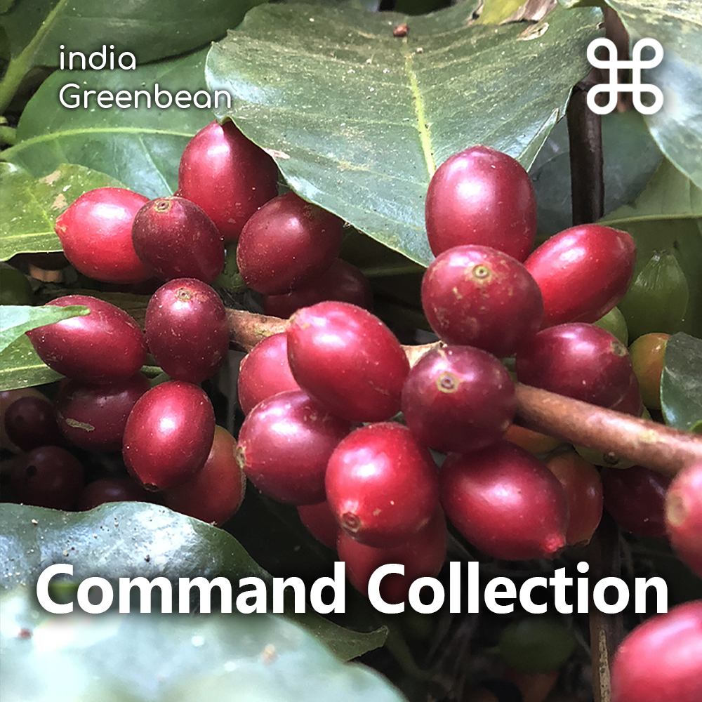 command coffee _ 커맨드커피