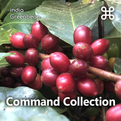 command coffee _ 커맨드커피